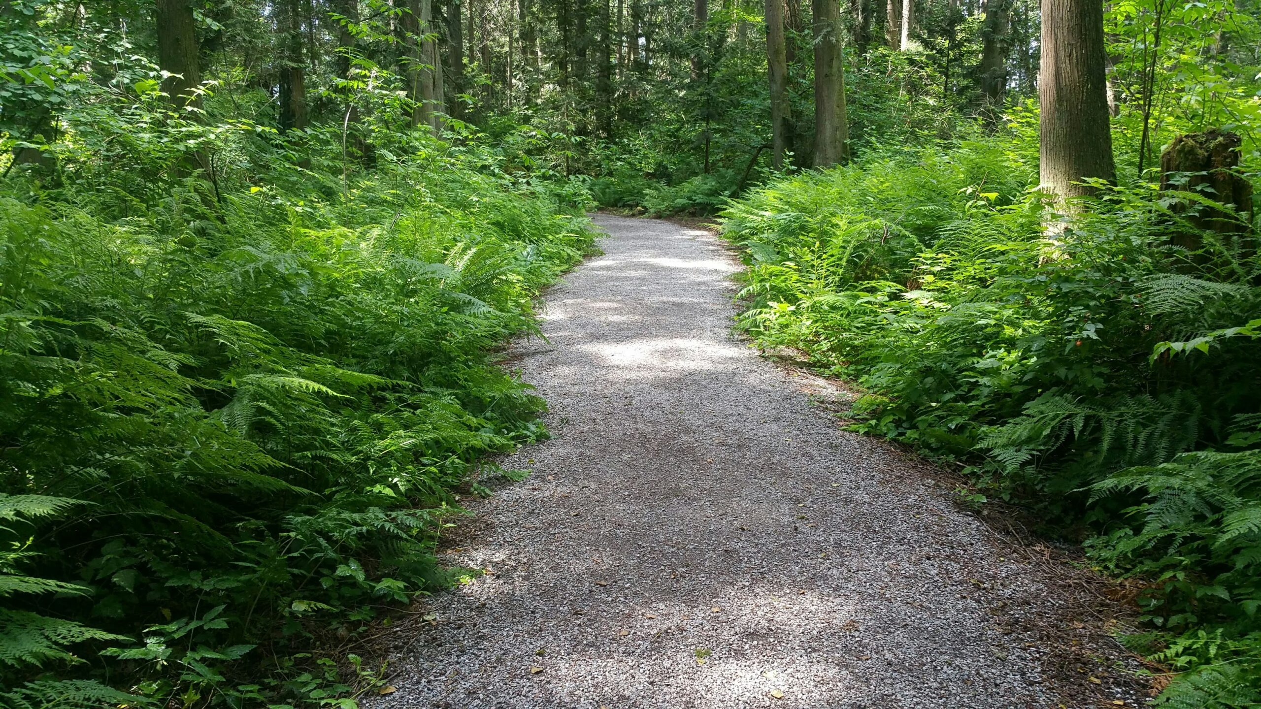 Progress Continues on Trail Connecting Oconomowoc, Watertown | Lake ...